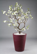 RÜHLAND - Pflanzgefäße & Töpfe aus Kunststoff | Accentum